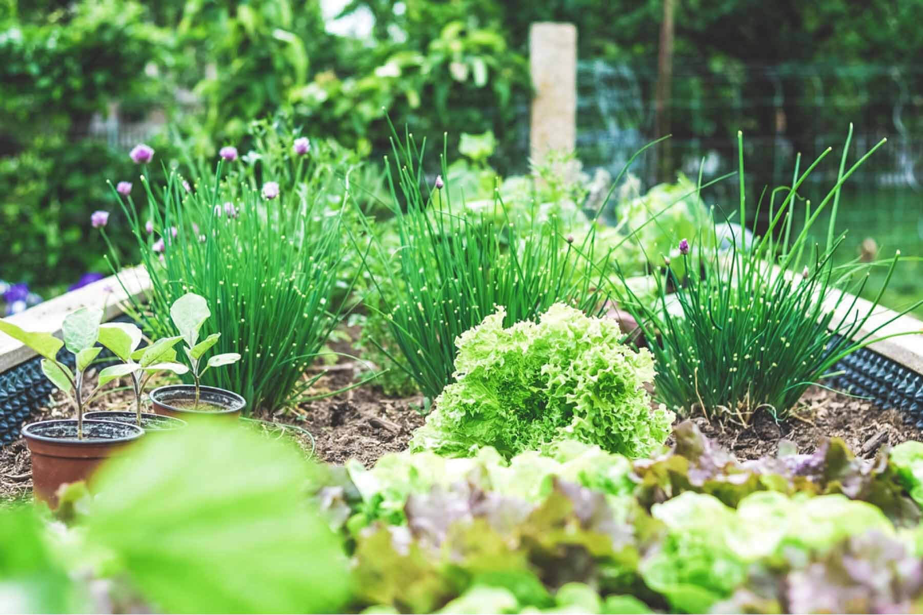 Florol - Boutique de l’outil de jardin dans la tradition